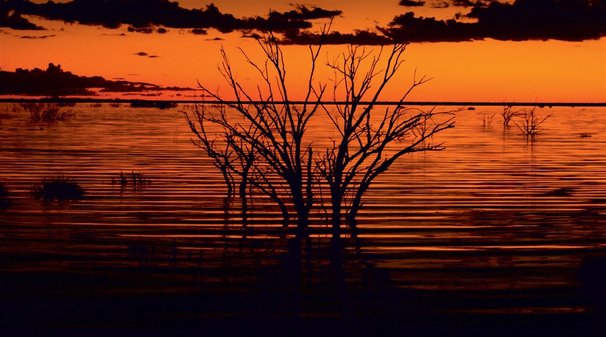 Image gallery banner | Explore Bulloo