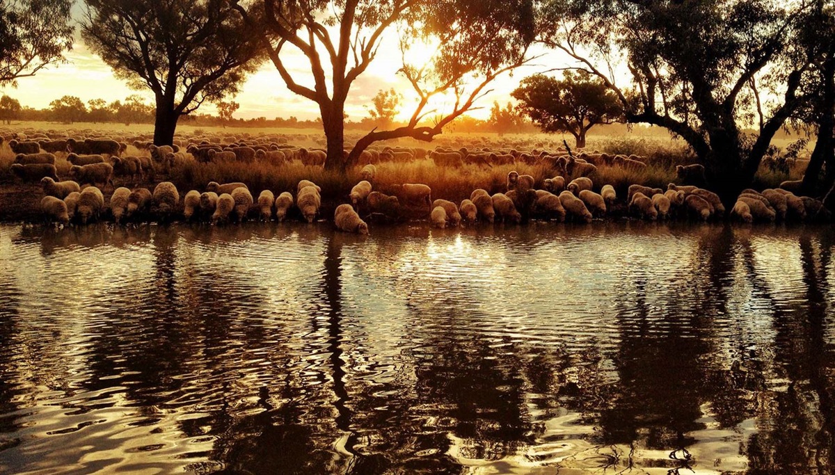 Our region banner | Explore Bulloo
